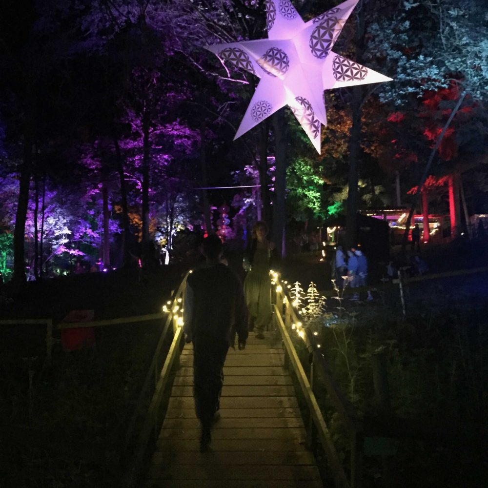 Noisily Festival 2017 - Electronic Groove