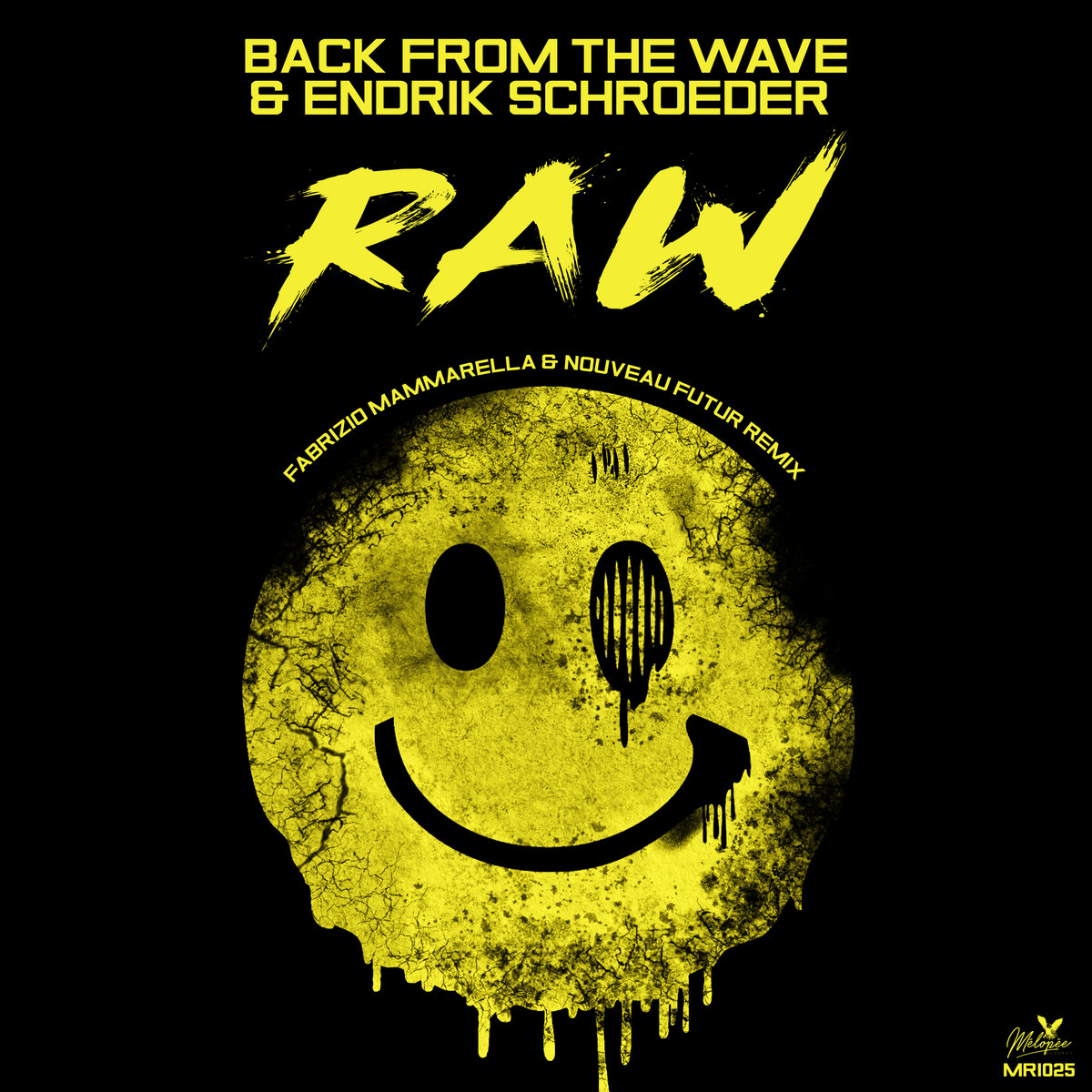 Back From The Wave & Endrik Schroeder - RAW - Mélopée Records ...