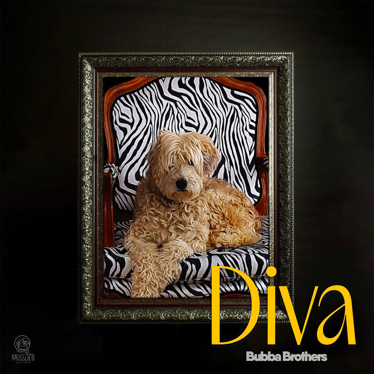 Listen to Bubba Brothers' 'Diva', a tribute to their pet - Electronic ...