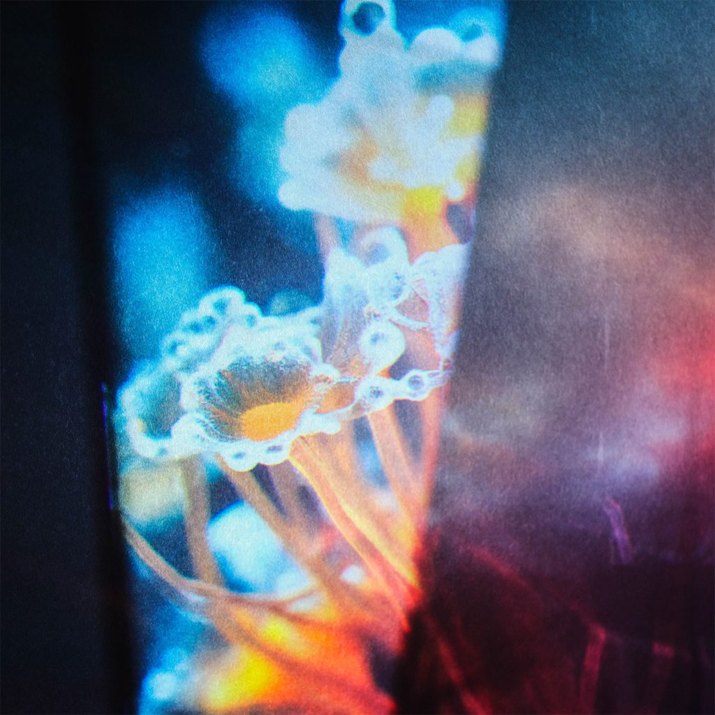 Joris Voorn partners with Jan Blomqvist for 'Flora' - Electronic Groove