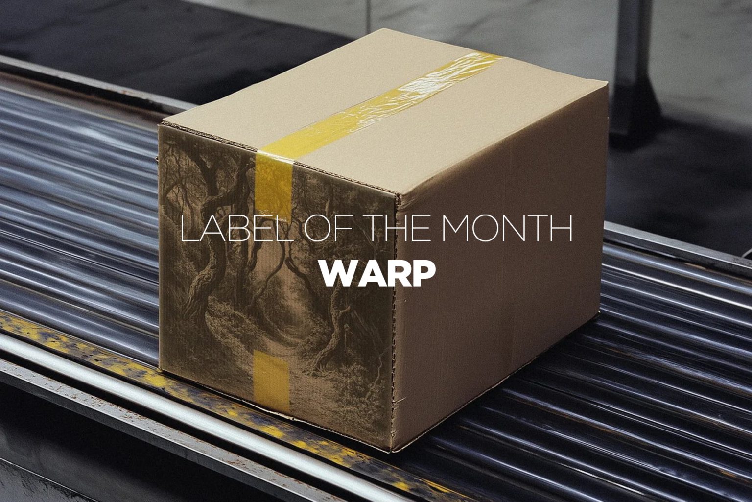 Label Of The Month: Warp Records - Electronic Groove
